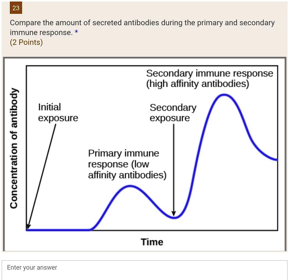 23 compare the amount of secreted antibodies during the primary and ...