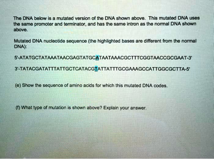 The DNA below is a mutated version of the DNA shown above. This mutated ...