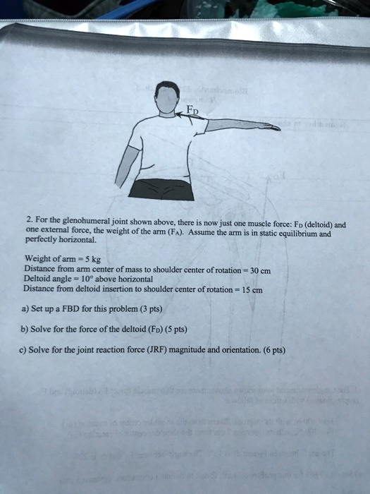 SOLVED: For the glenohumeral joint shown above, there is now just one ...