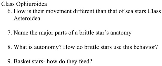 SOLVED: Class Ophiuroidea: How is their movement different from that of ...