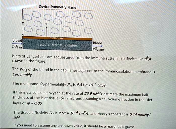 device symmetry plane scularized tissueregion blood pozout pozin islets ...