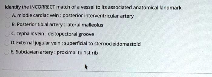 identify the incorrect match of a vessel to its associated anatomical ...