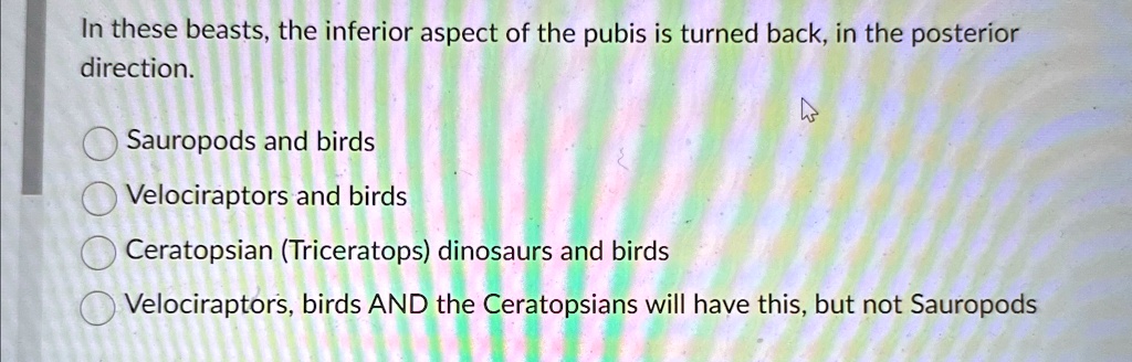 in these beasts the inferior aspect of the pubis is turned back in the ...