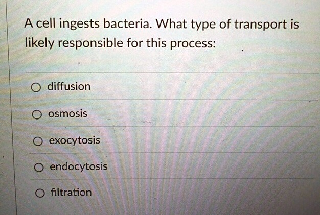 [GET ANSWER] a cell ingests bacteria what type of transport is likely ...