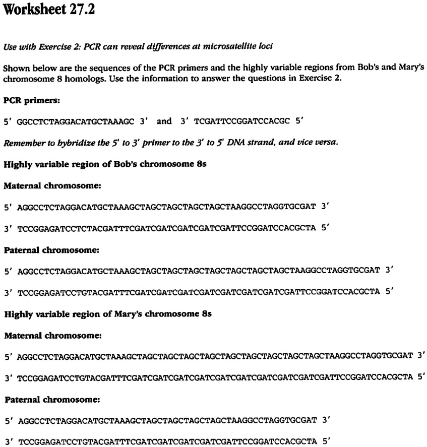 SOLVED: Worksheet 27.2 Use wltb Exerclse 2: PCR can reveal dlfferences ...