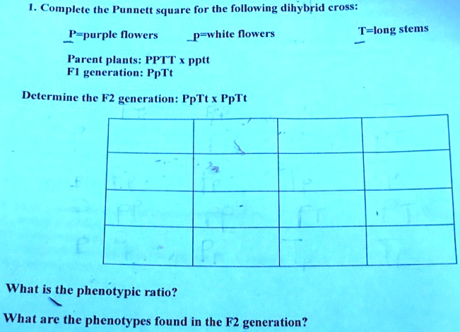 1. Complete the Punnett square for the following dihybrid cross: P ...