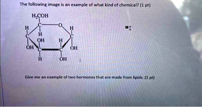 The following image is an example of what kind of chemical? (1 pt) H ...
