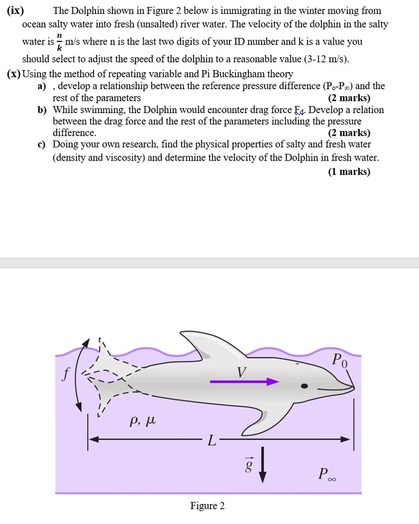 SOLVED: Note: N (last two digits) =03 (x!) The Dolphin shown in Figure 2 below is immigrating in ...