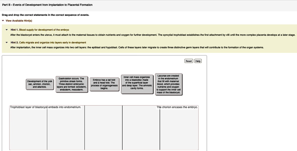 Part B - Events of Development from Implantation to Placental Formation ...
