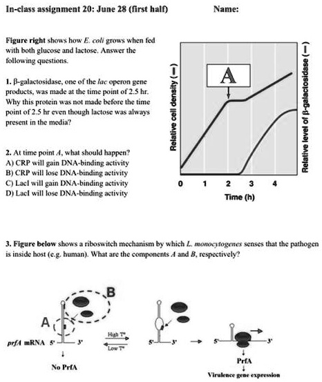 SOLVED: Texts: In-class assignment 20: June 28 (first half) Name ...