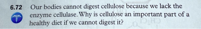 672 our bodies cannot digest cellulose because we lack the enzyme ...