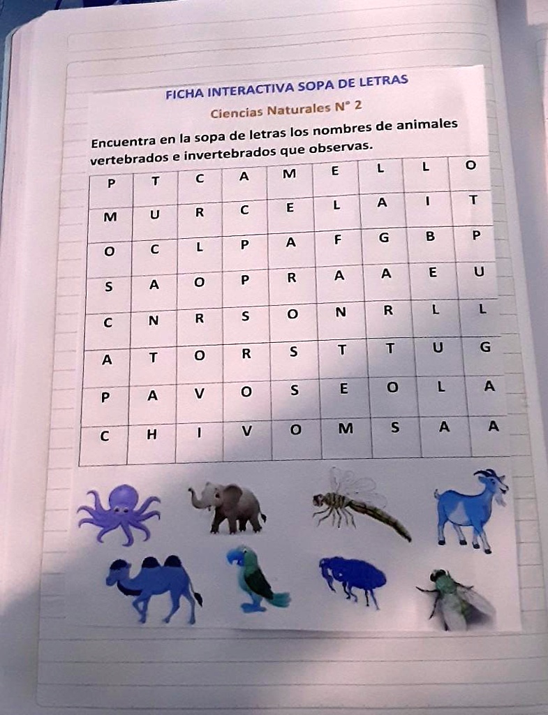 SOLVED: busquen en la sopa de letras los animales vertebrados y ...