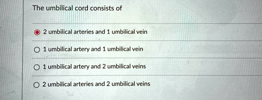 The umbilical cord consists of 2 umbilical arteries and 1 umbilical ...