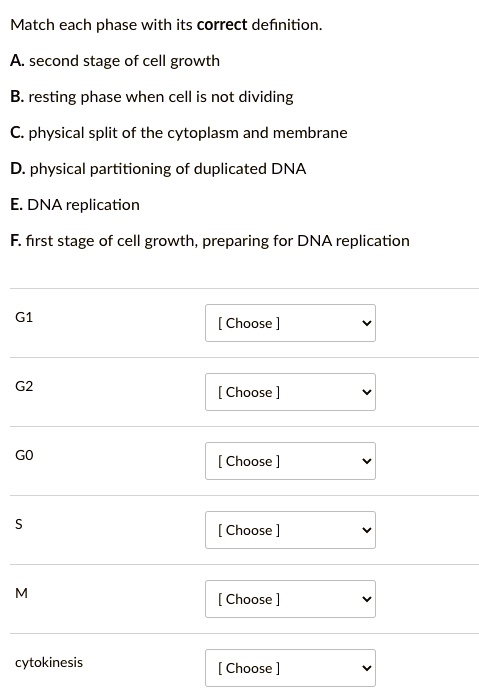 match each phase with its correct definition a second stage of cell ...