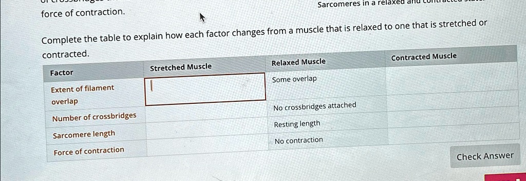 force of contraction. Sarcomeres in a relaxed and contracted state ...