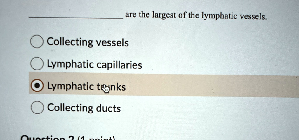 collecting vessels are the largest of the lymphatic vessels lymphatic ...