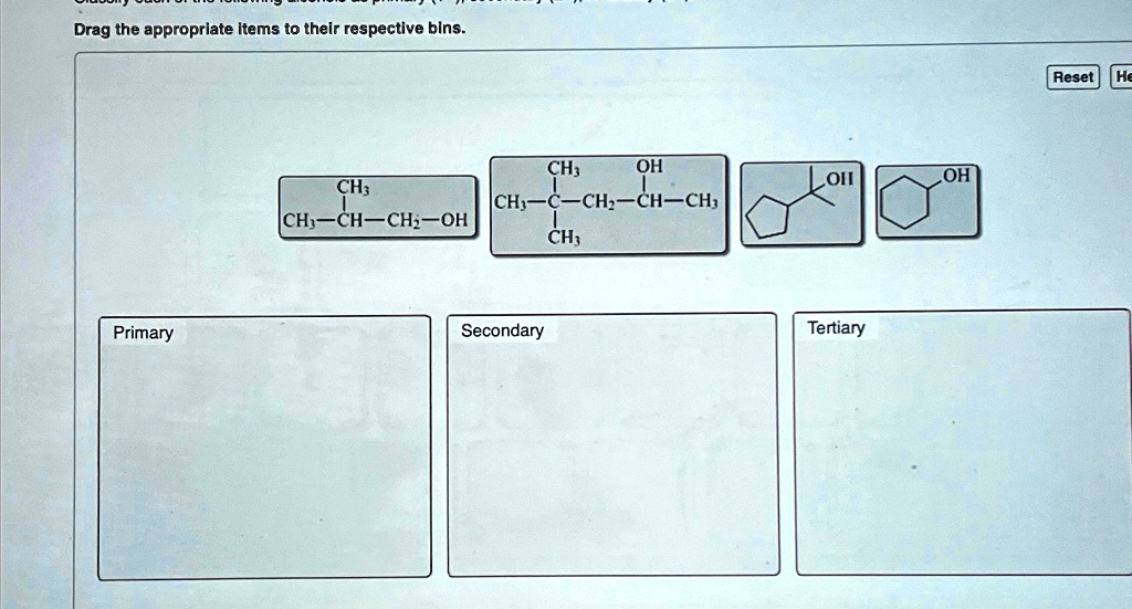 drag the appropriate items to their respective bins drag the appropriate items to their ...