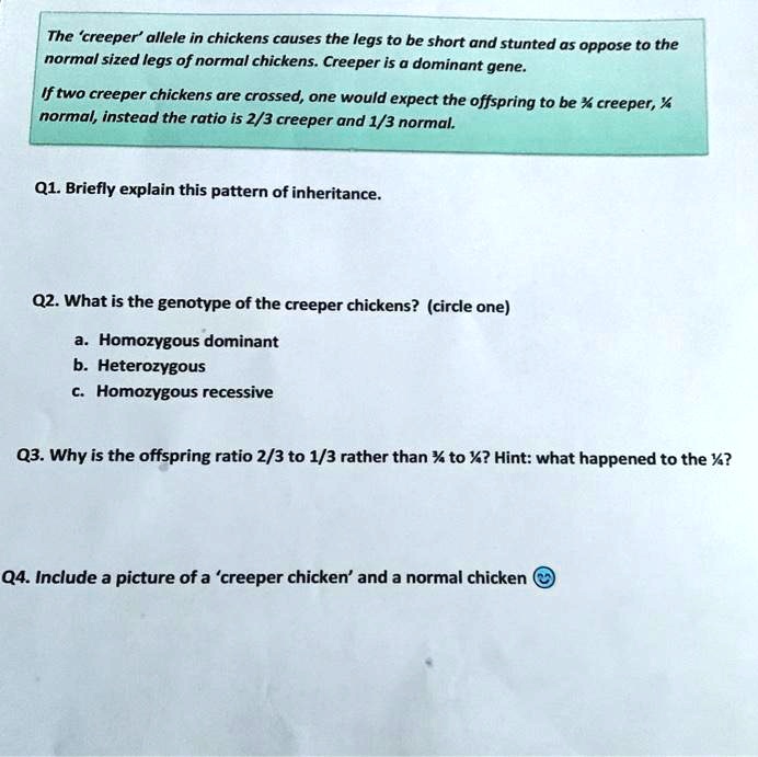 the creeper allele in chickens causes the legs to be short and stunted ...