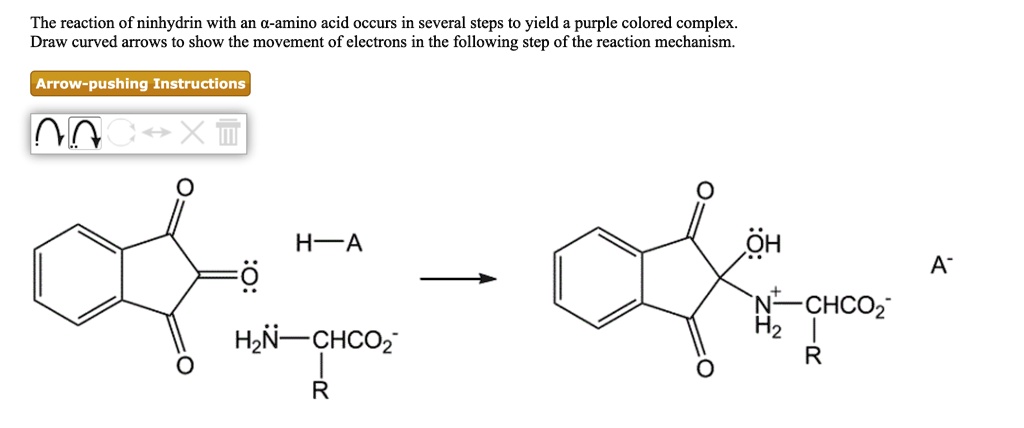 SOLVED: The reaction of ninhydrin with an G-amino acid occurs in ...