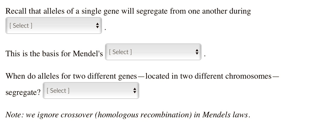 Solved Options For First Drop Down Metaphase Ii Of Meiosis Anaphase I Of Meiosis Metaphase