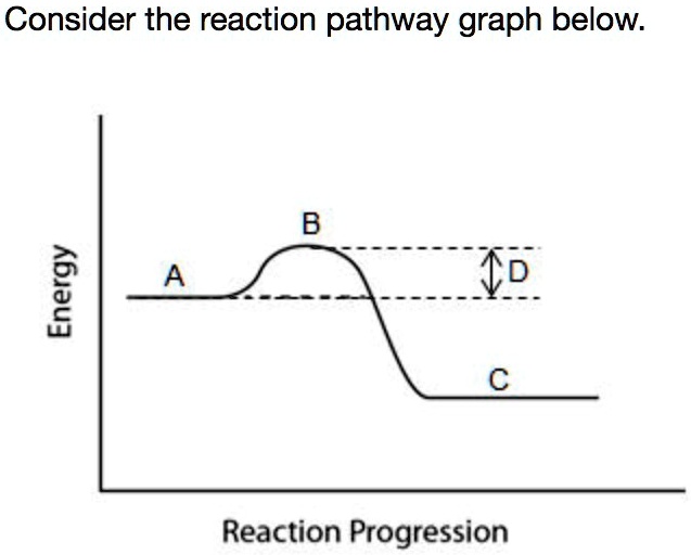 SOLVED: 'Consider the reaction pathway graph below. What is represented ... SOLVED: 'Consider the reaction pathway graph below. What is represented ...