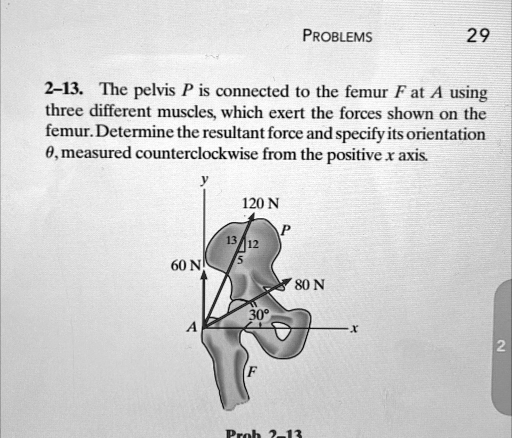PROBLEMS292-13. The pelvis P is connected to the femur F at A using ...