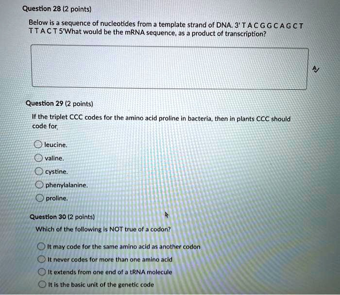 SOLVED: Question 28 (2 points) Below is the sequence of nucleotides ...