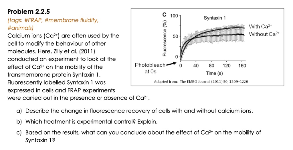 SOLVED: Problem 2.2.5 100 (tags: #FRAP, #membrane fluidity, Syntaxin 2 ...