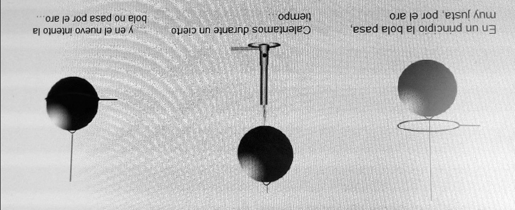 SOLVED: es para hoy!!!!!! La siguiente gráfica representa A) El ...