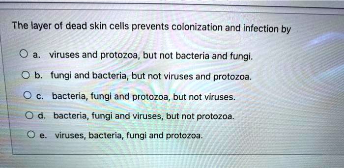 the layer of dead skin cells prevents colonization and infection by ...