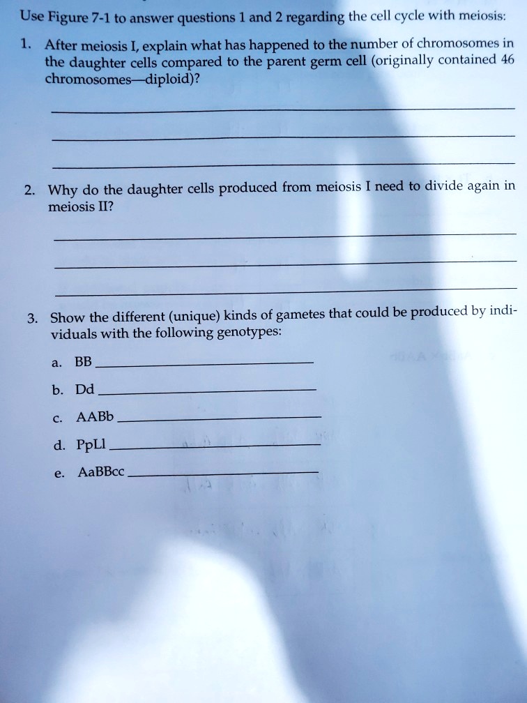 SOLVED: Use Figure 7-1 to answer questions 1 and 2 regarding the cell ...