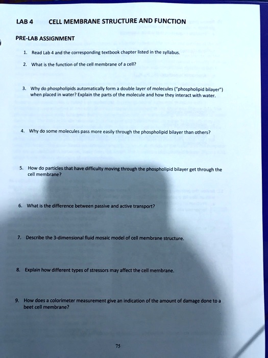 SOLVED: LAB 4 CELL MEMBRANE STRUCTURE AND FUNCTION PRE-LAB ASSIGNMENT Reidal Jndtne ...