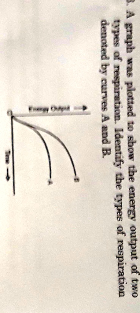 B. A graph was plotted to show the energy output of two types of ...