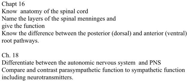 Chapt 16: Know the anatomy of the spinal cord. Name the layers of the ...