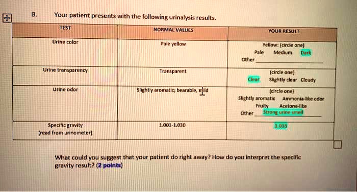 b your patient presents with the following urinalysis results test ...