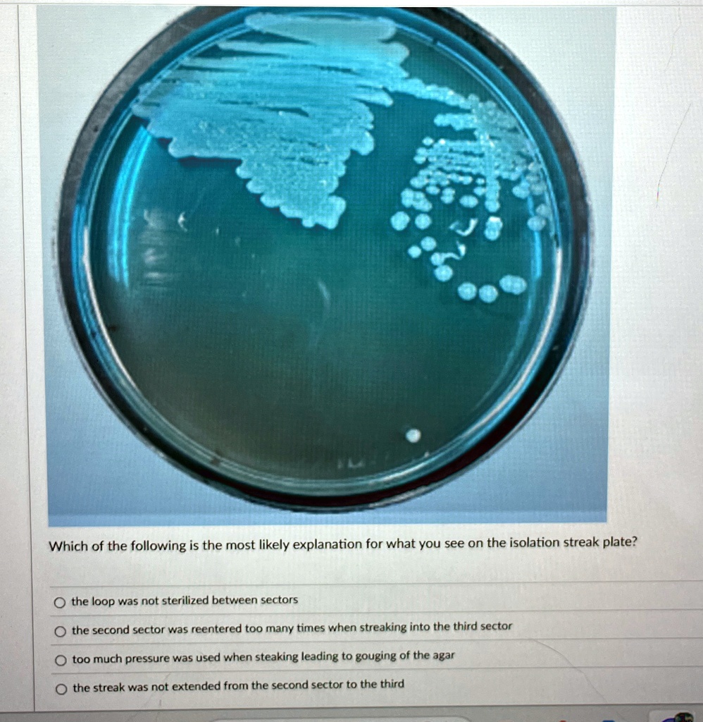 which of the following is the most likely explanation for what you see ...