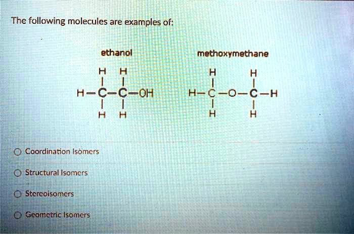 SOLVED:The following molecules are examples of: ethanol methoxymethane ...
