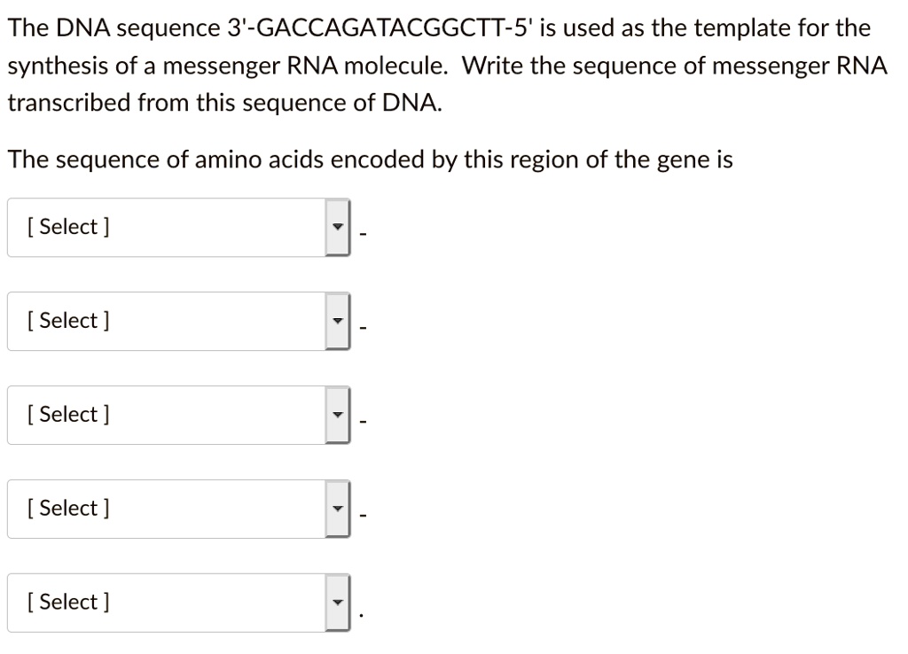 the dna sequence 3 gaccagatacggctt 5 is used as the template for the synthesis of a messenger ...
