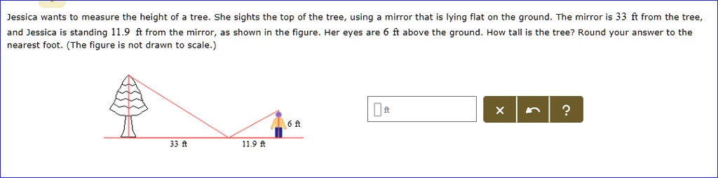 Jessica wants to measure the height of a tree. She sights the top of ...