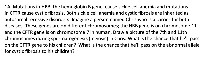 SOLVED: 1A. Mutations in HBB, the hemoglobin B gene; cause sickle cell ...