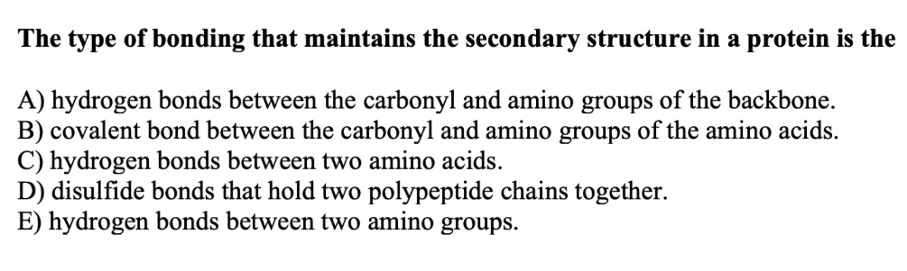 the type of bonding that maintains the secondary structure in a protein ...