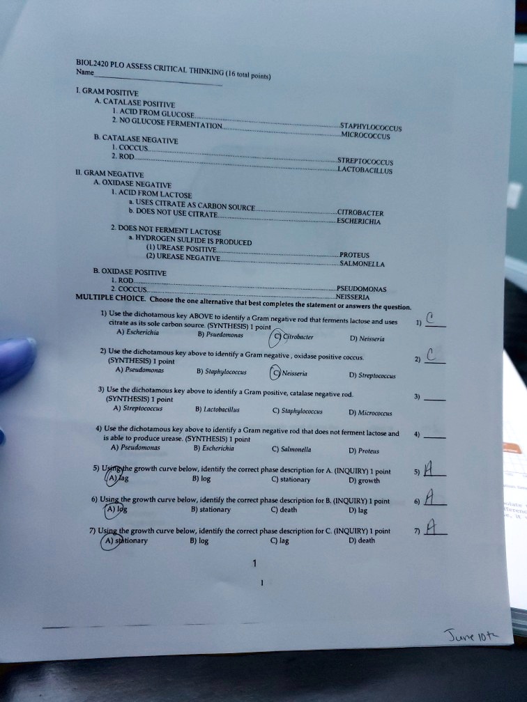 SOLVED: BIOL2420 PLO ASSESS CRITICAL Nant ? THINKING ([6 Ialal points) GRAM POSITIVE CATAL ASE ...