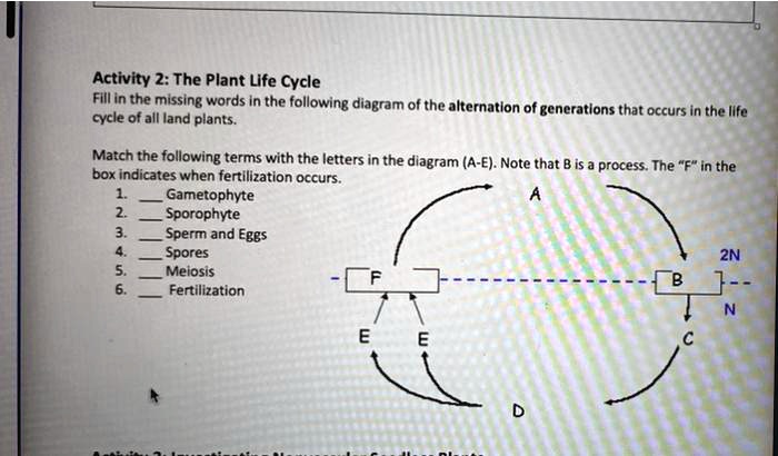 Activity 2: The Plant Life Cycle Fill in the missing words in the following diagram of the ...