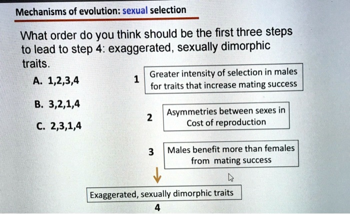 SOLVED: Mechanisms of evolution: sexual selection What order do you ...
