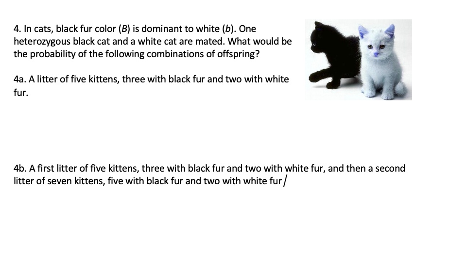 SOLVED:4. In cats, black fur color (B) is dominant to white (b): One ...
