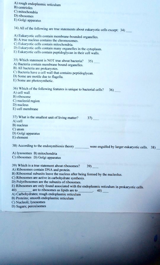 A) rough endoplasmic reticulum B) centrioles C) mitochondria D ...