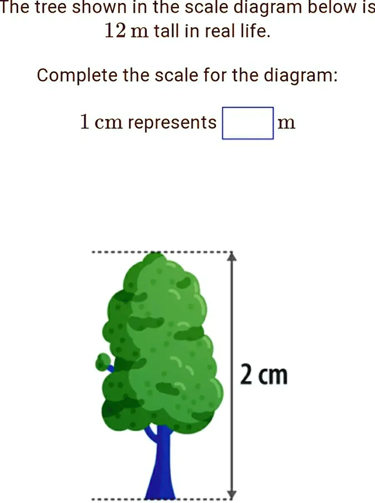 The tree shown in the scale diagram below is 12 m tall in real life ...