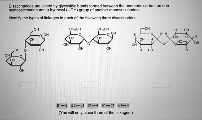 SOLVED: Disaccharides are joined by glycosidic bonds formed between the ...