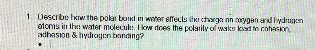 SOLVED: Describe how the polar bond in water affects the charge on ...