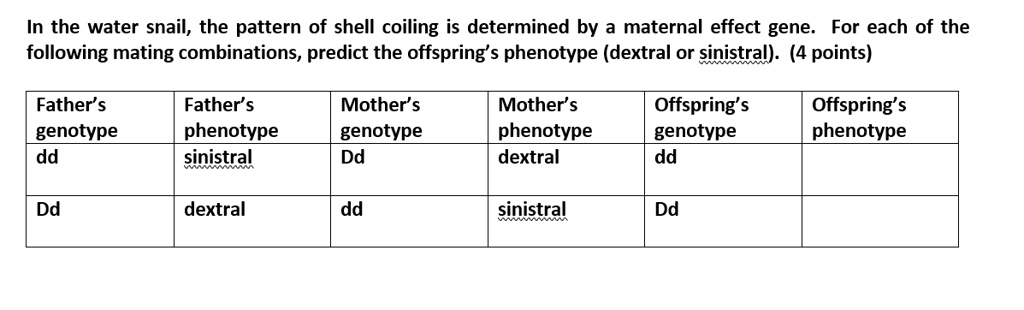 SOLVED: In the water snail, the pattern of shell coiling is determined ...